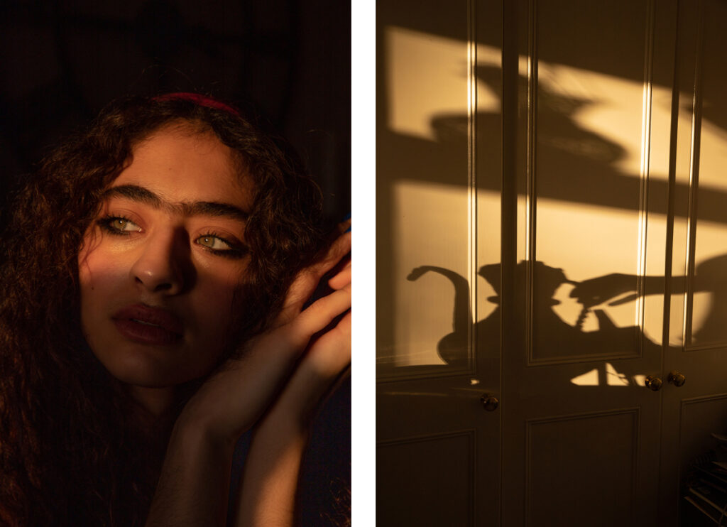 Radical Beauty - Faces of Womanhood from the MENA Region